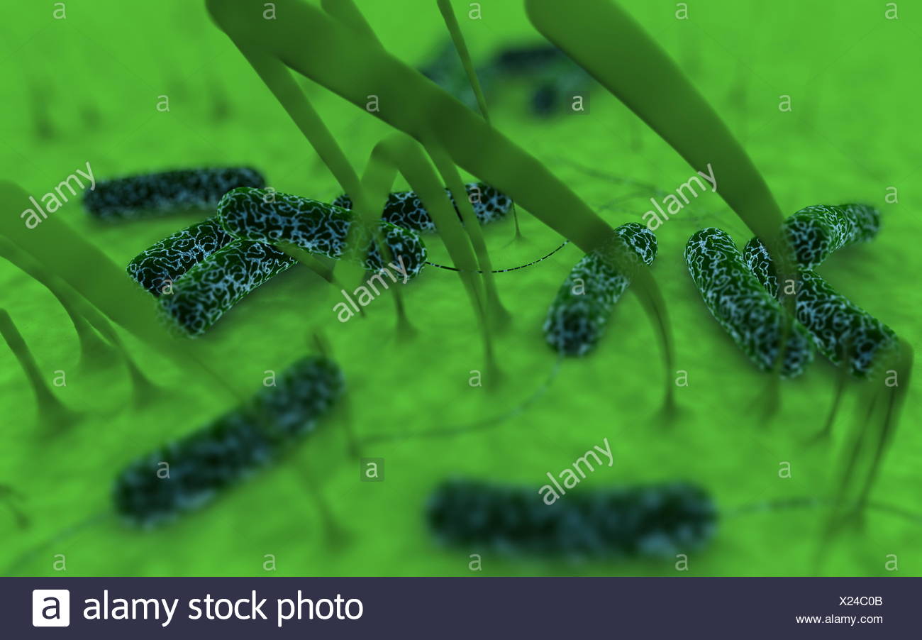 Immunbiologie High Resolution Stock Photography and Images - Alamy