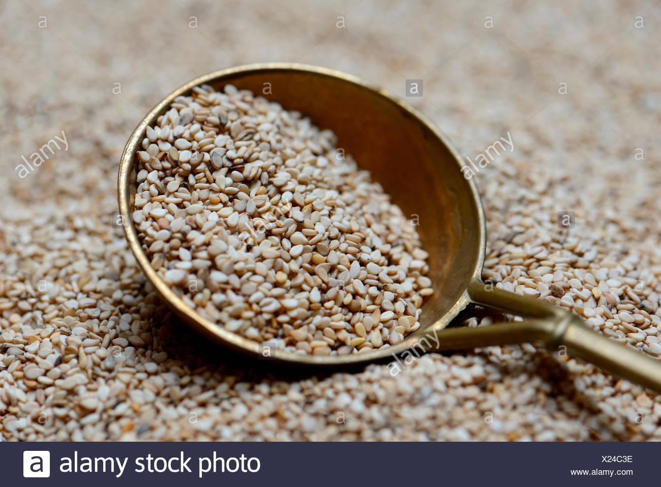 Sesamsamen High Resolution Stock Photography and Images - Alamy