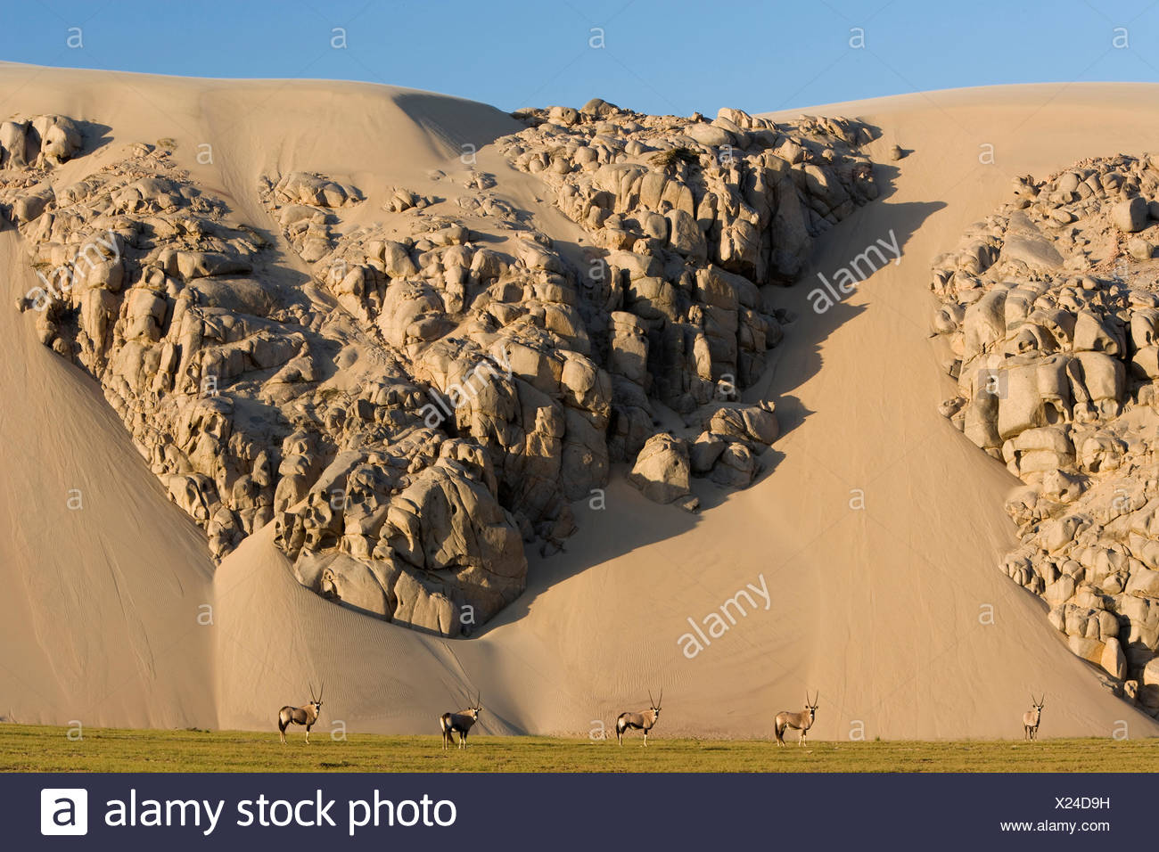 Skeleton Coast High Resolution Stock Photography and Images - Alamy