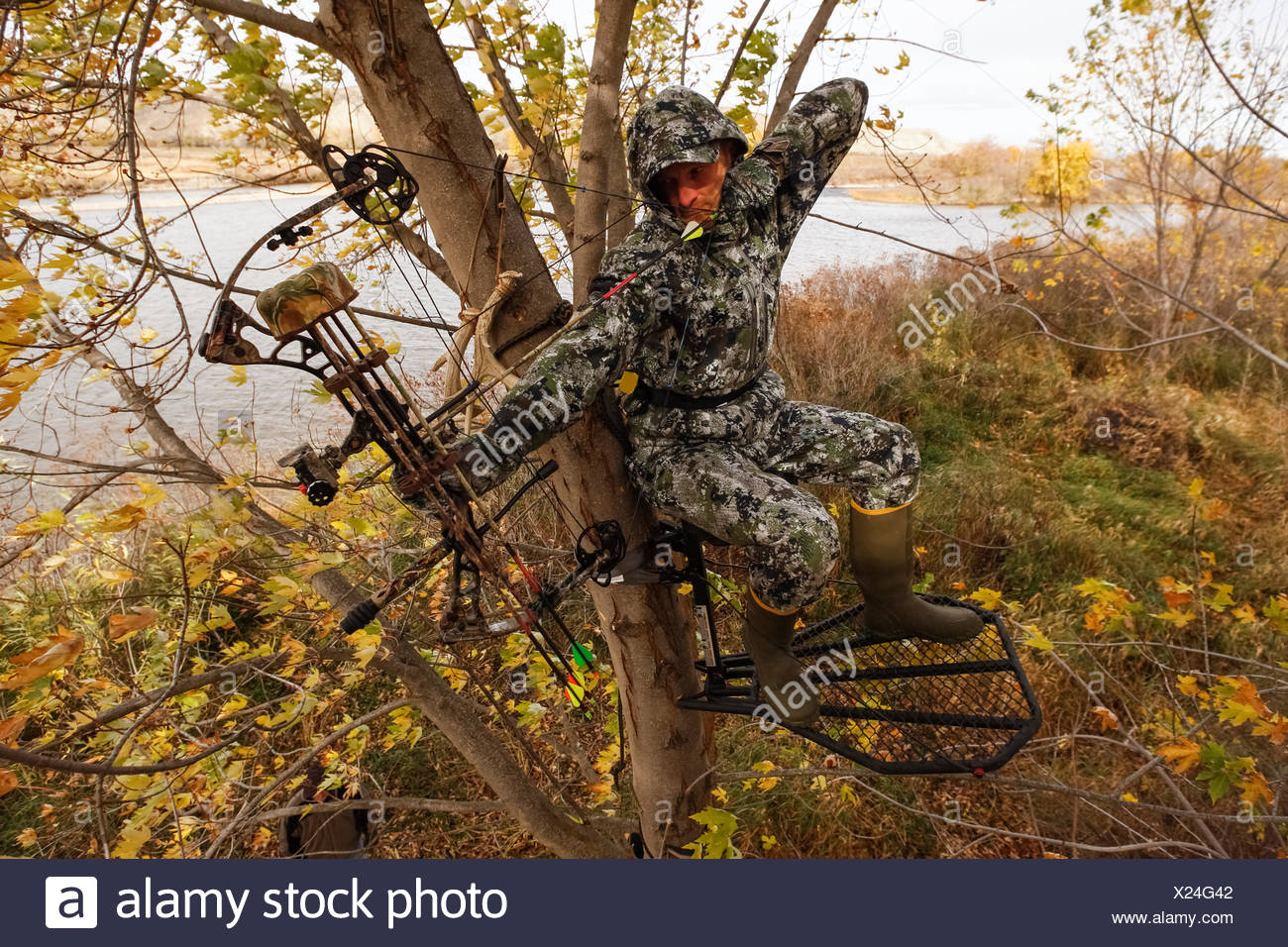 Hunting Treestand High Resolution Stock Photography and Images - Alamy