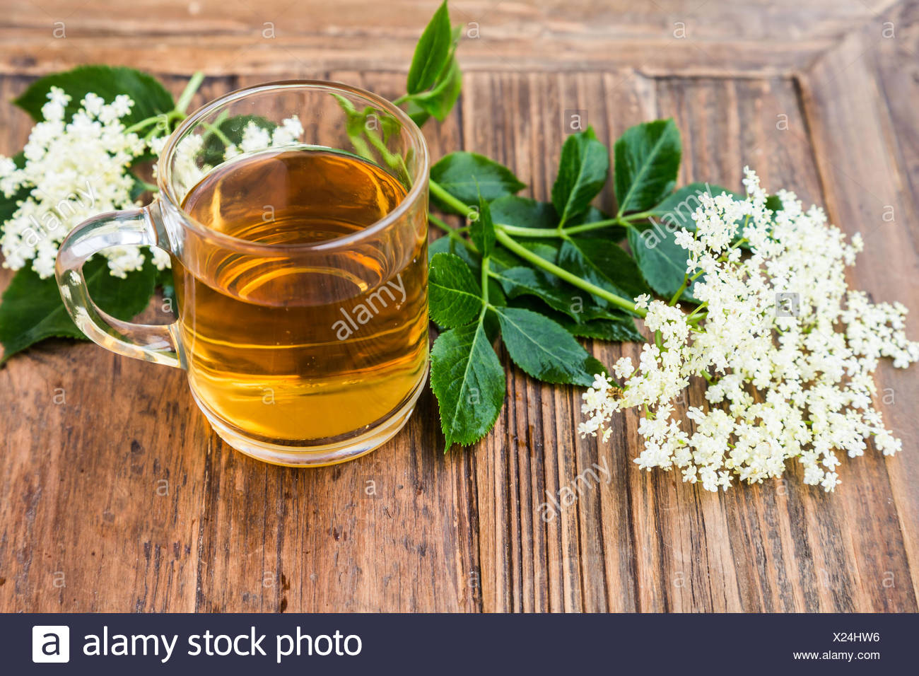 Elderflower Tea High Resolution Stock Photography and Images - Alamy