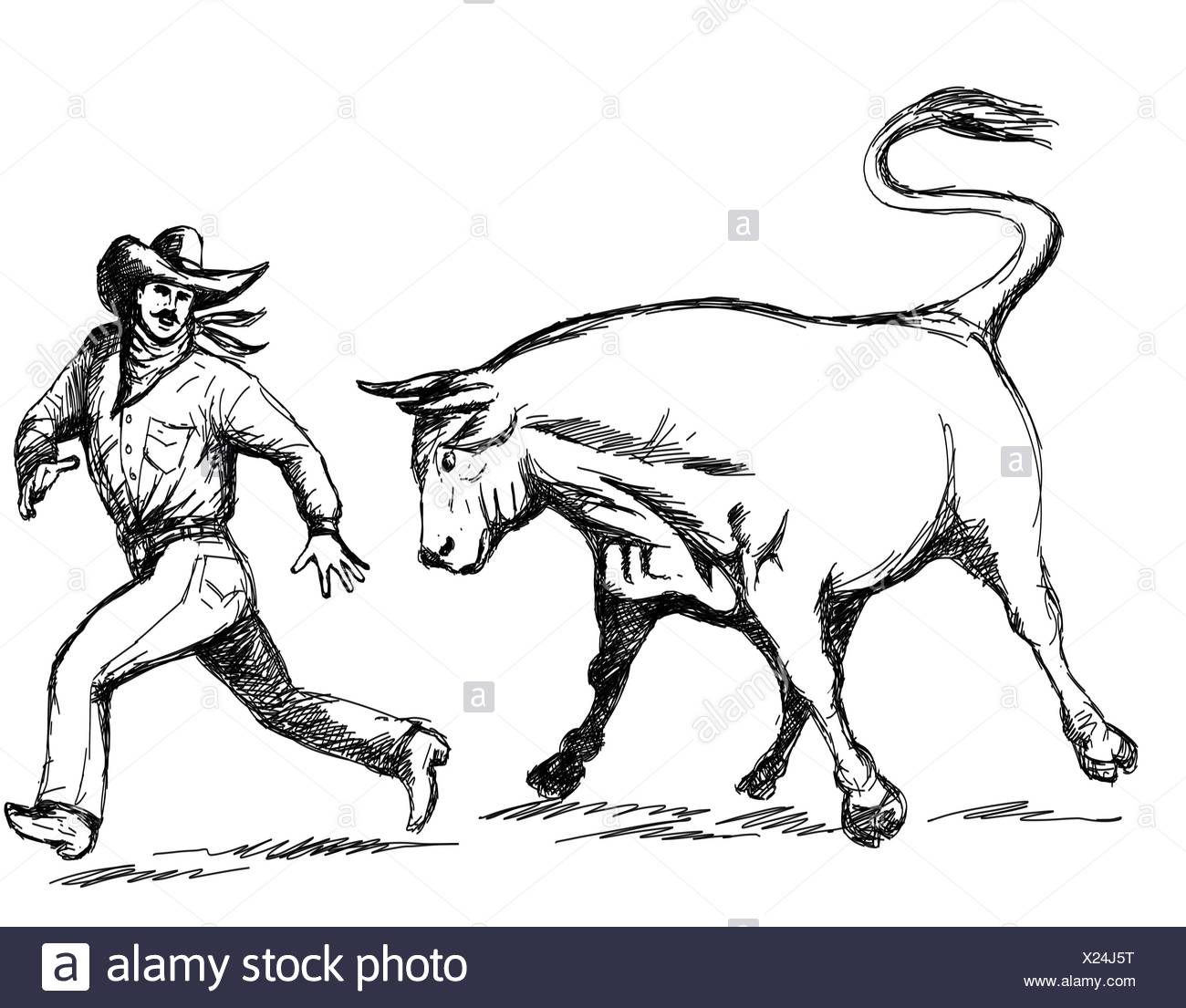 Rodeo Bull Black and White Stock Photos & Images - Alamy