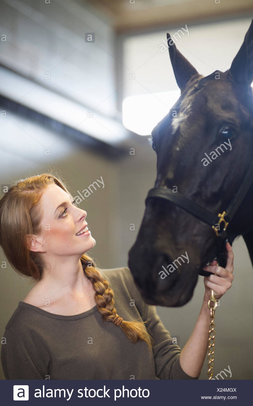 Stables Horse High Resolution Stock Photography and Images - Alamy