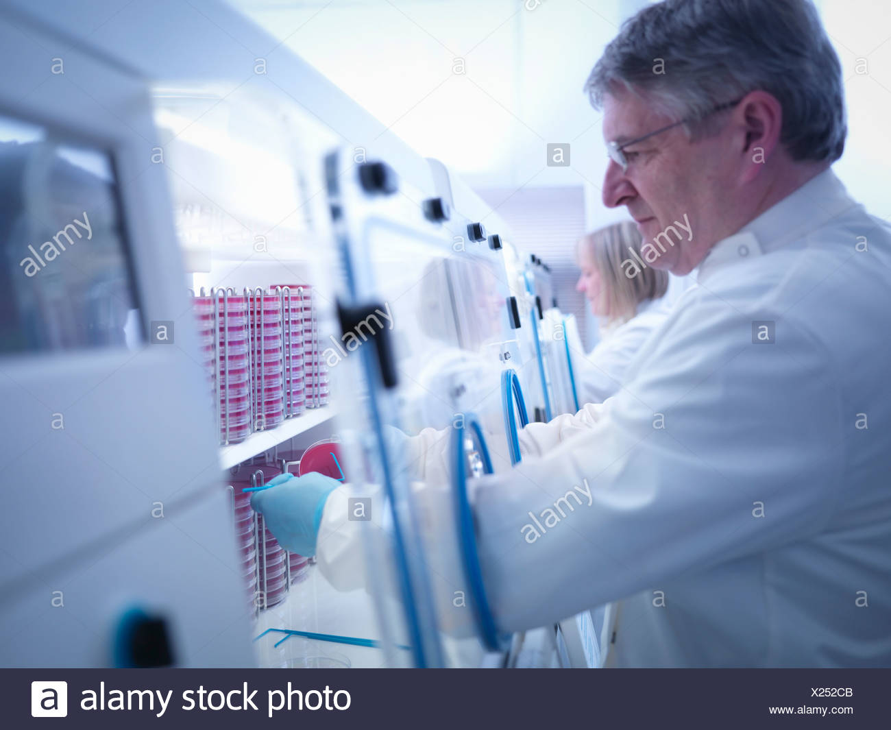 Science And Culture High Resolution Stock Photography and Images - Alamy