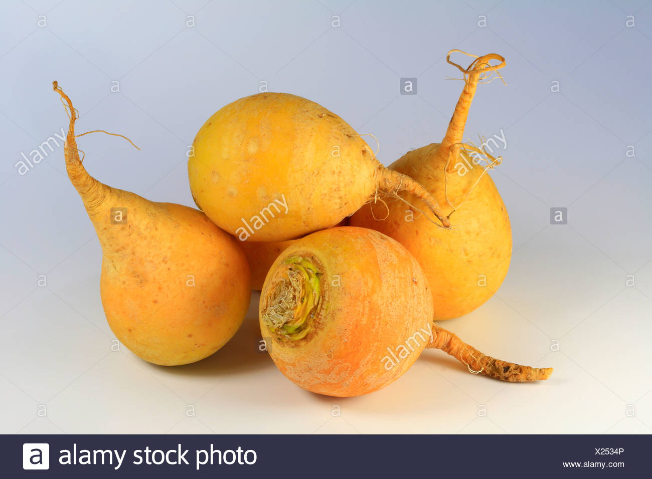 Turnips And Swedes High Resolution Stock Photography and Images - Alamy