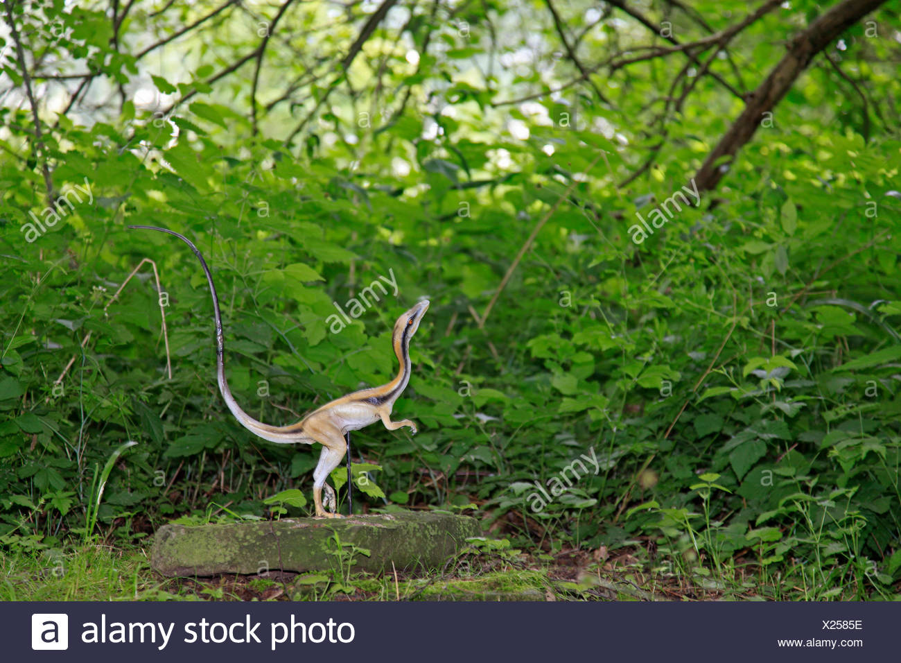 Compsognathus Dinosaur High Resolution Stock Photography and Images - Alamy