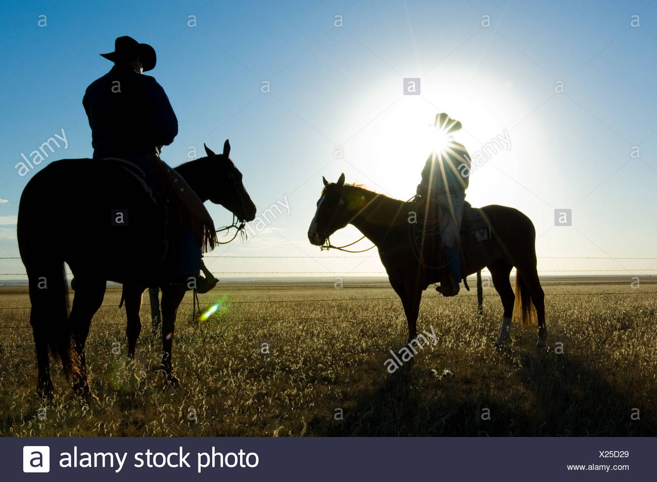Cowboys On Fence Stock Photos & Cowboys On Fence Stock Images - Alamy