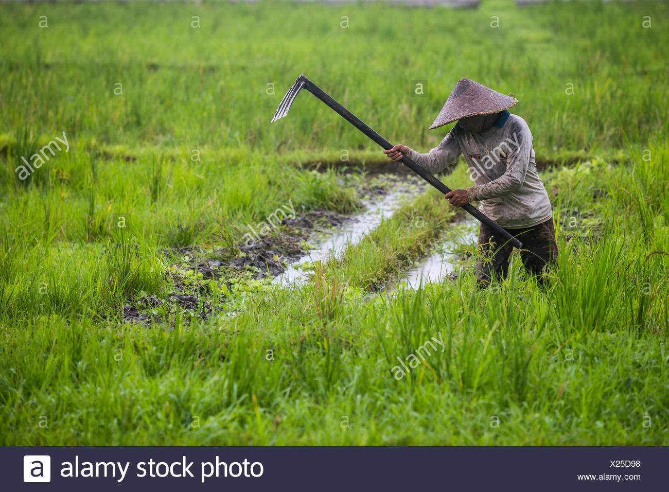 Farmer With Hoe Stock Photos & Farmer With Hoe Stock Images - Alamy