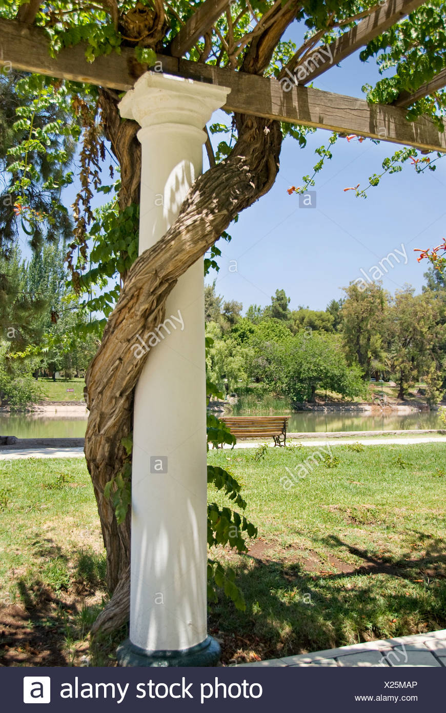White Column High Resolution Stock Photography and Images - Alamy