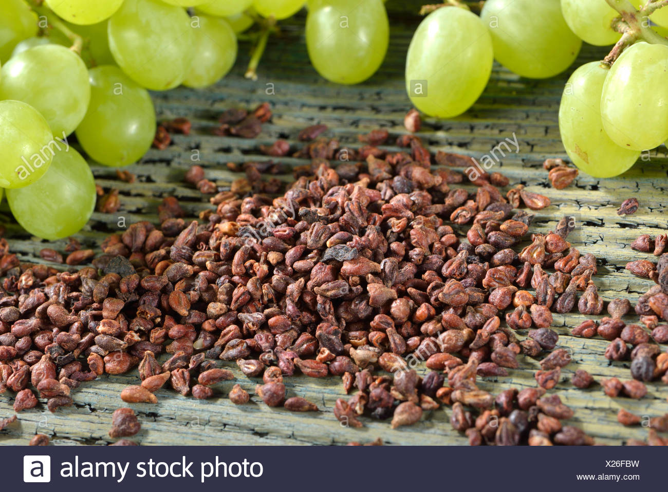 Vitis Grape Seed High Resolution Stock Photography and Images - Alamy