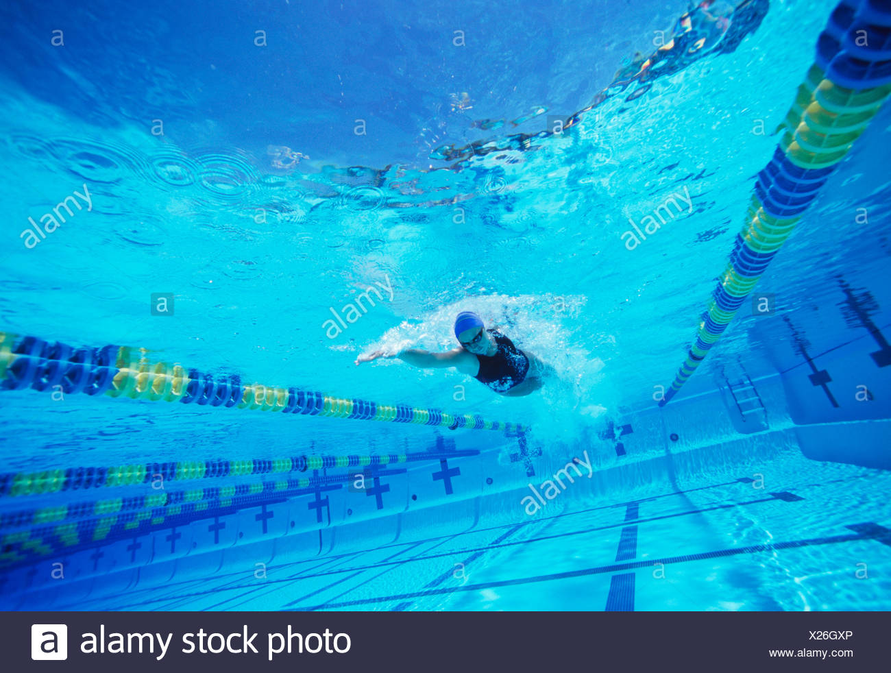Swimmer Stock Photos & Swimmer Stock Images - Alamy