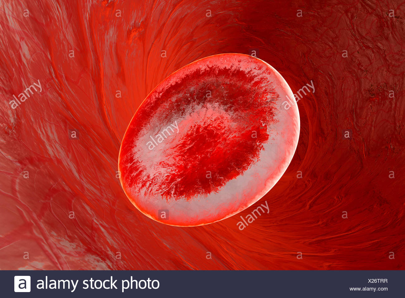 Erythrocyte Cell High Resolution Stock Photography and Images - Alamy
