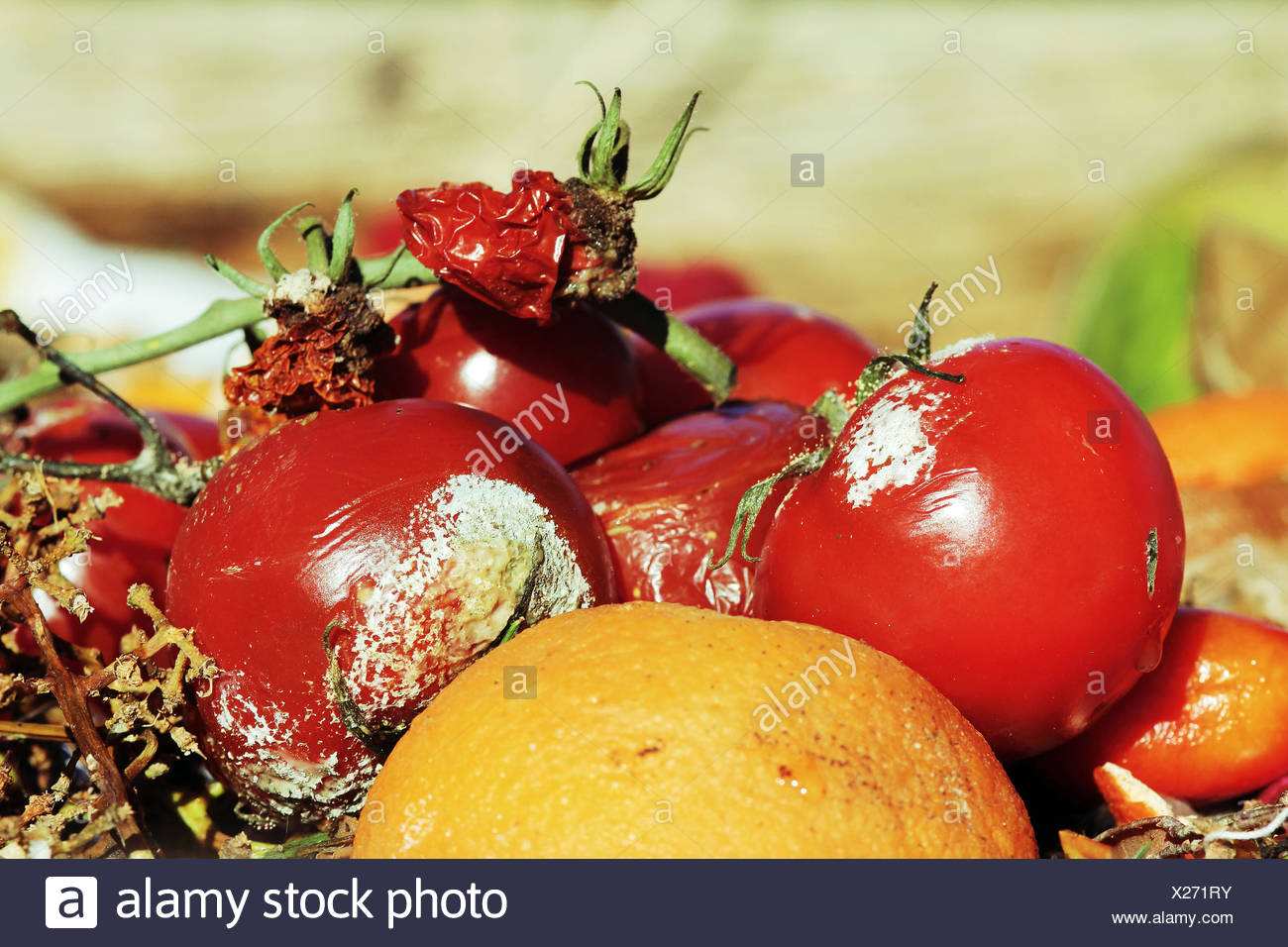 Throw Rotten Vegetables High Resolution Stock Photography and Images ...