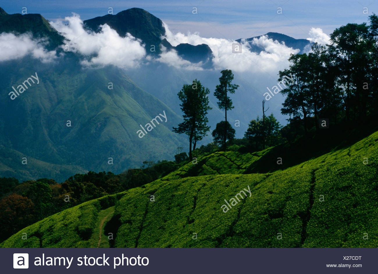 Scenic Nilgiri Hills High Resolution Stock Photography and Images - Alamy