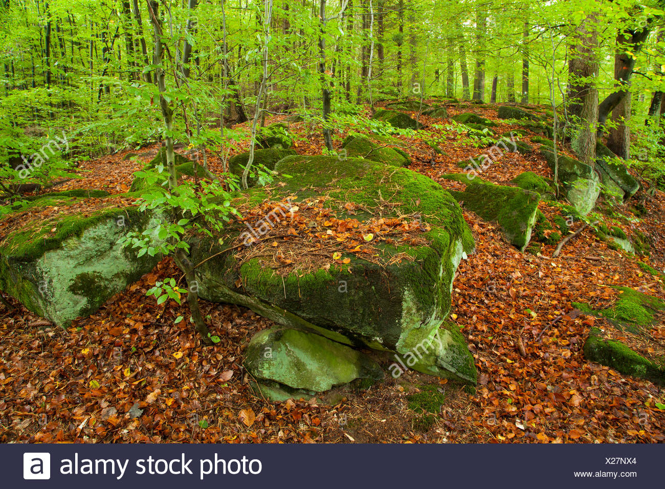 Landscape Westerwald Rhineland Palatinate Germany High Resolution Stock ...