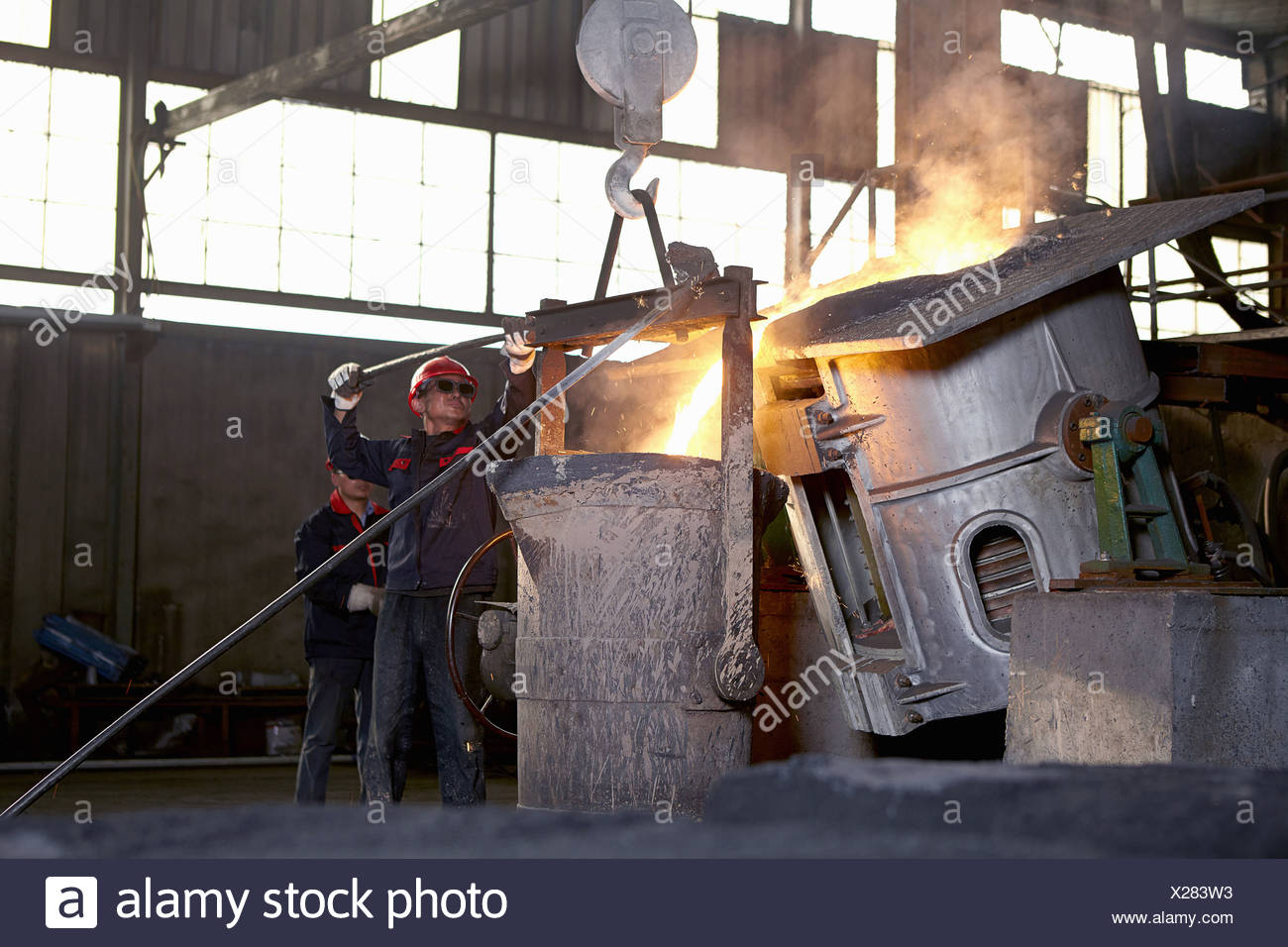 Cast Iron Plant High Resolution Stock Photography and Images - Alamy