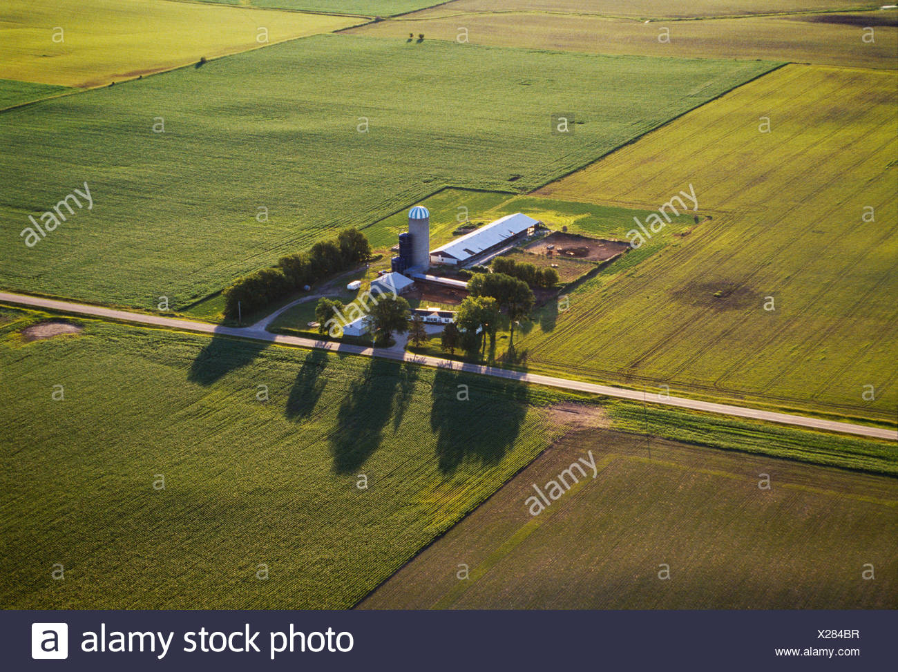 Farmstead And Agricultural Usa Stock Photos & Farmstead And ...