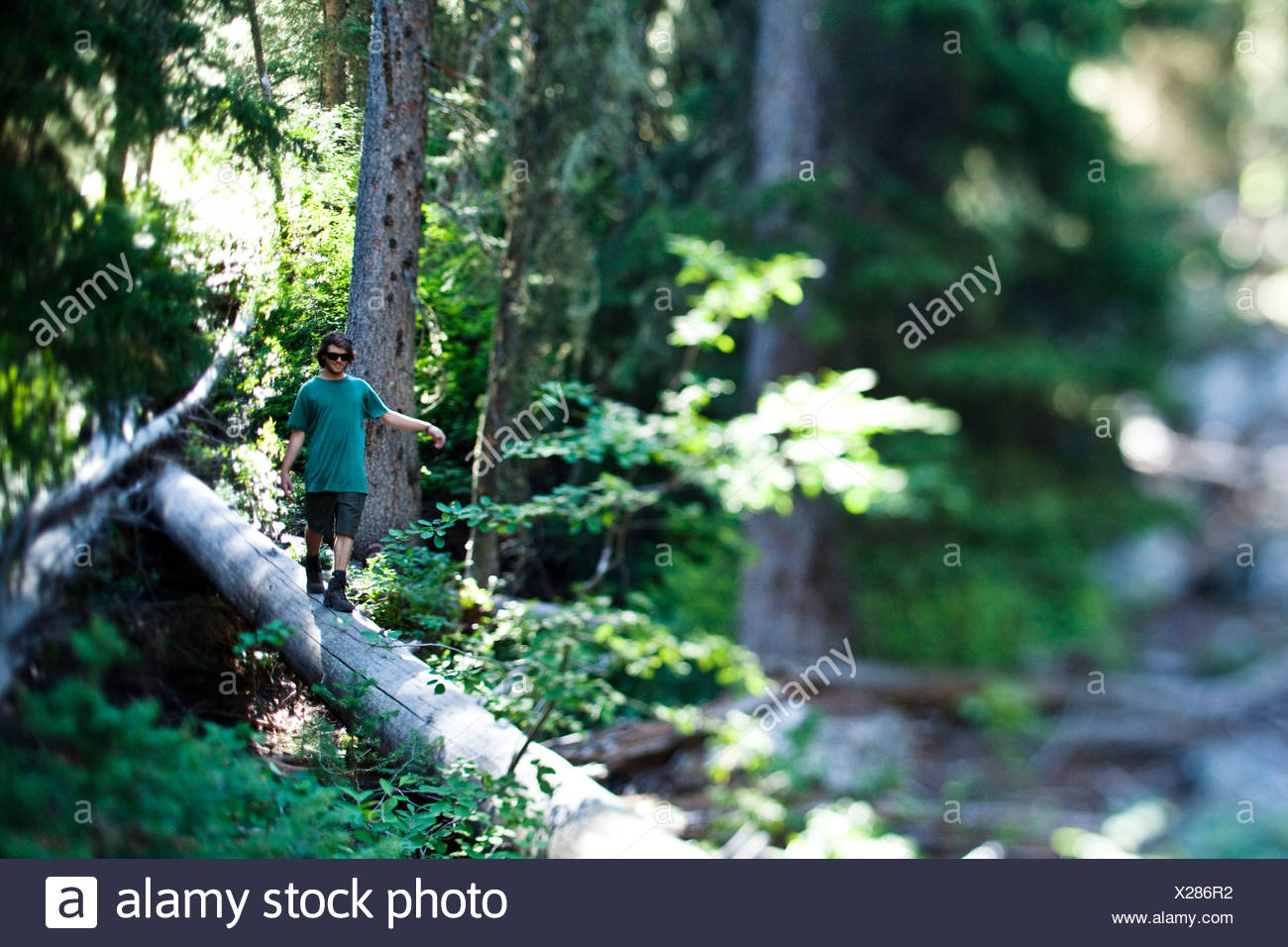 Horizontal Log High Resolution Stock Photography and Images - Alamy