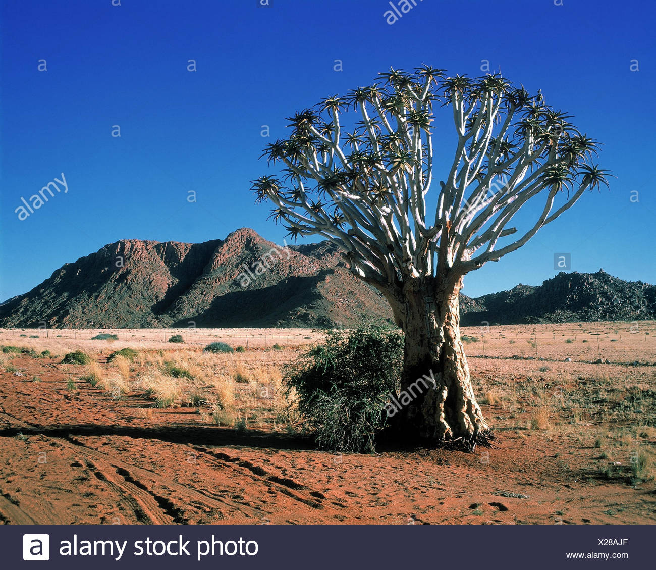 Meagerly High Resolution Stock Photography and Images - Alamy