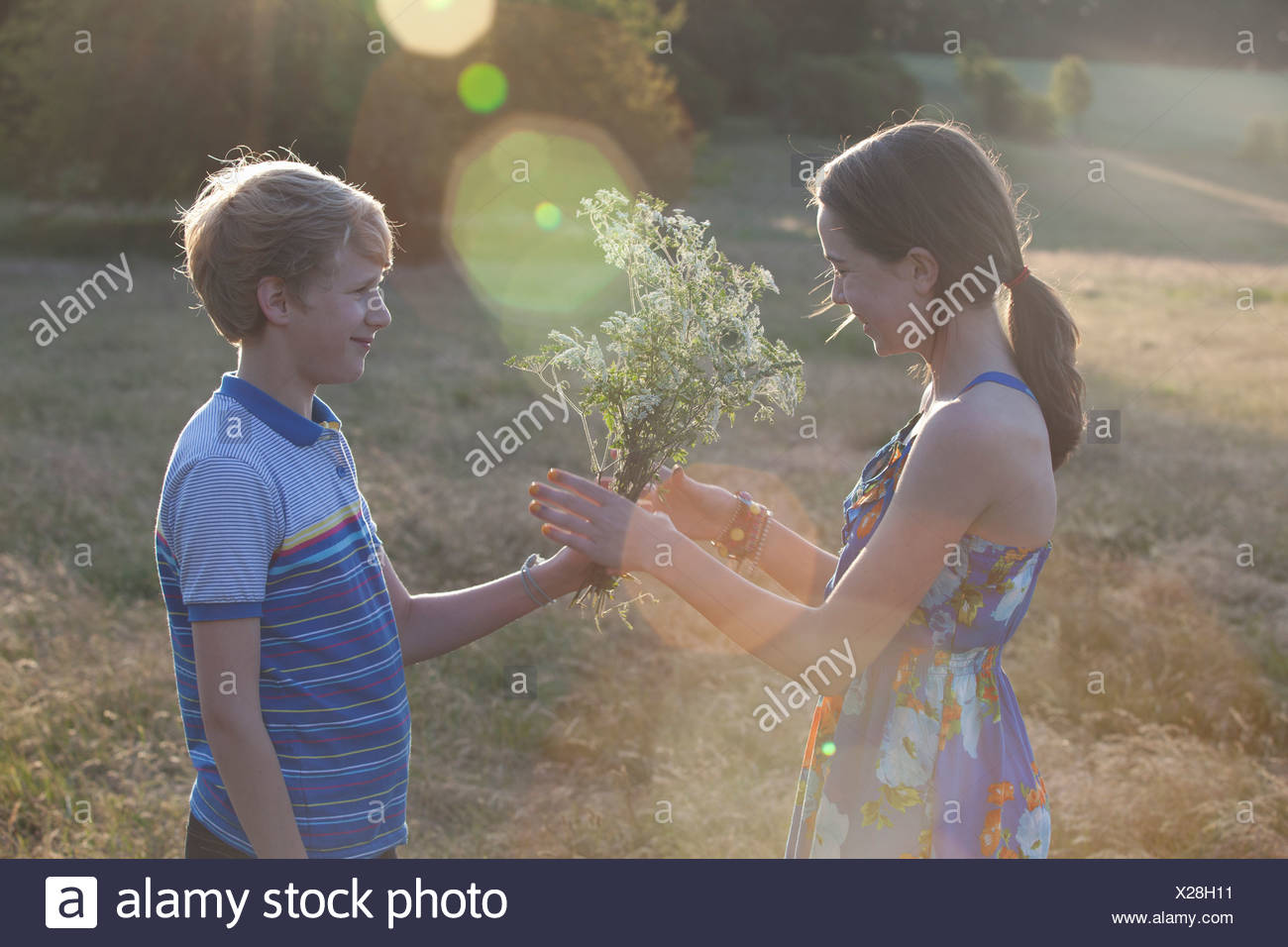 Girl Giving Boy Flowers Stock Photos & Girl Giving Boy Flowers Stock ...