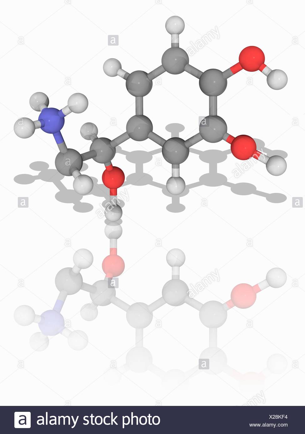 Noradrenaline Norepinephrine Molecule High Resolution Stock Photography ...