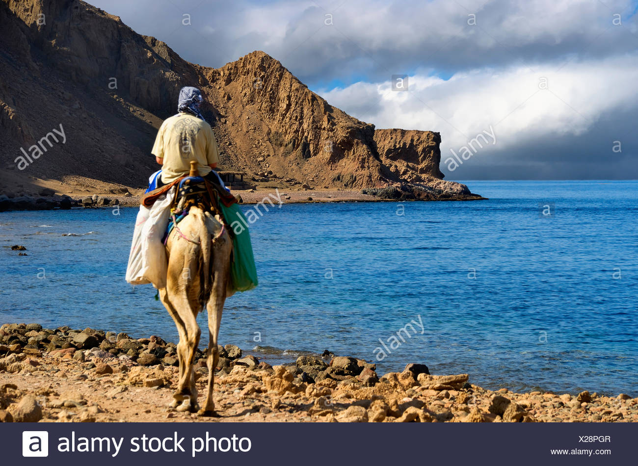 Camel With Rider High Resolution Stock Photography and Images - Alamy