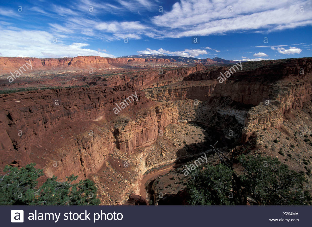 Torrey Canyon Stock Photos & Torrey Canyon Stock Images - Alamy