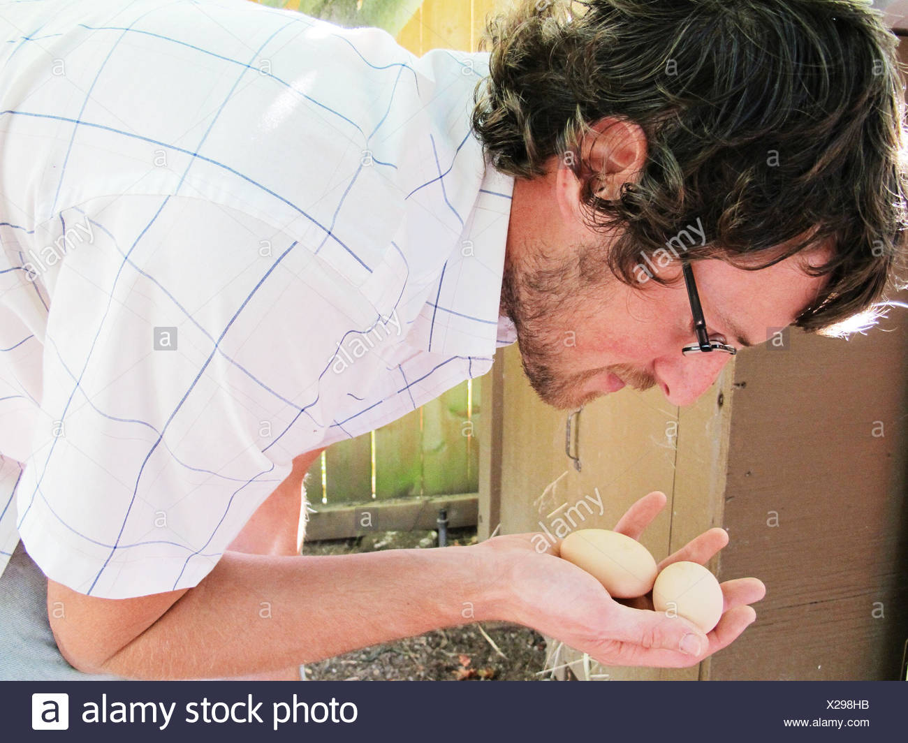 Eggs From Free Range Chickens Stock Photos & Eggs From Free Range ...