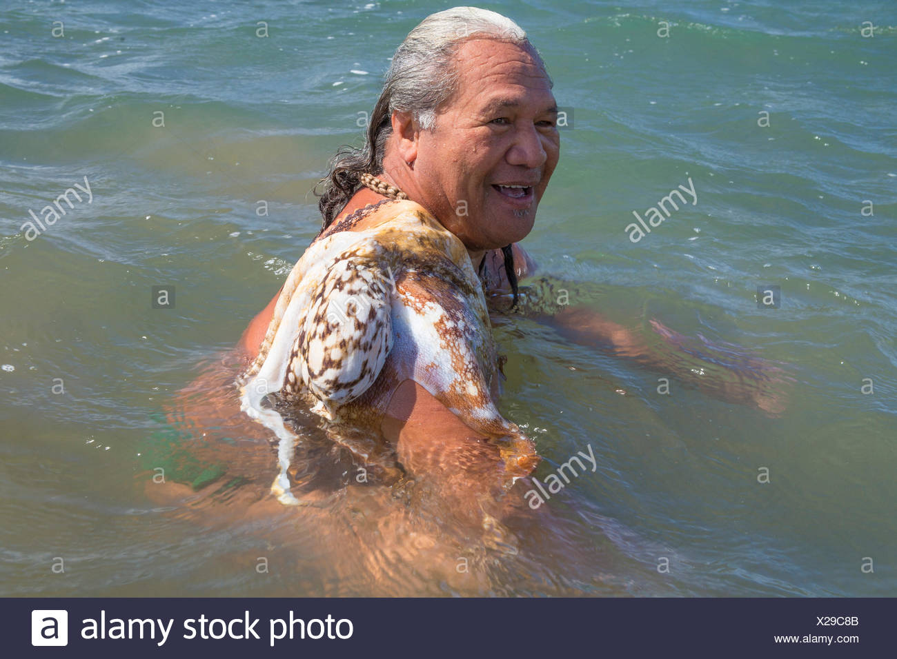 Octopus Model High Resolution Stock Photography and Images - Alamy