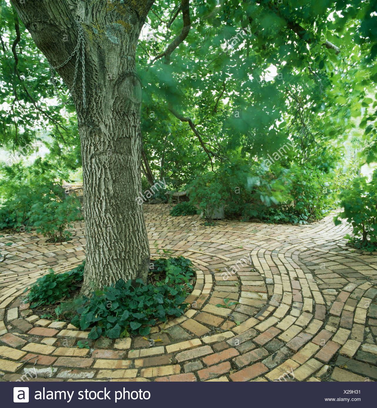 Circular Brick Paving High Resolution Stock Photography and Images - Alamy