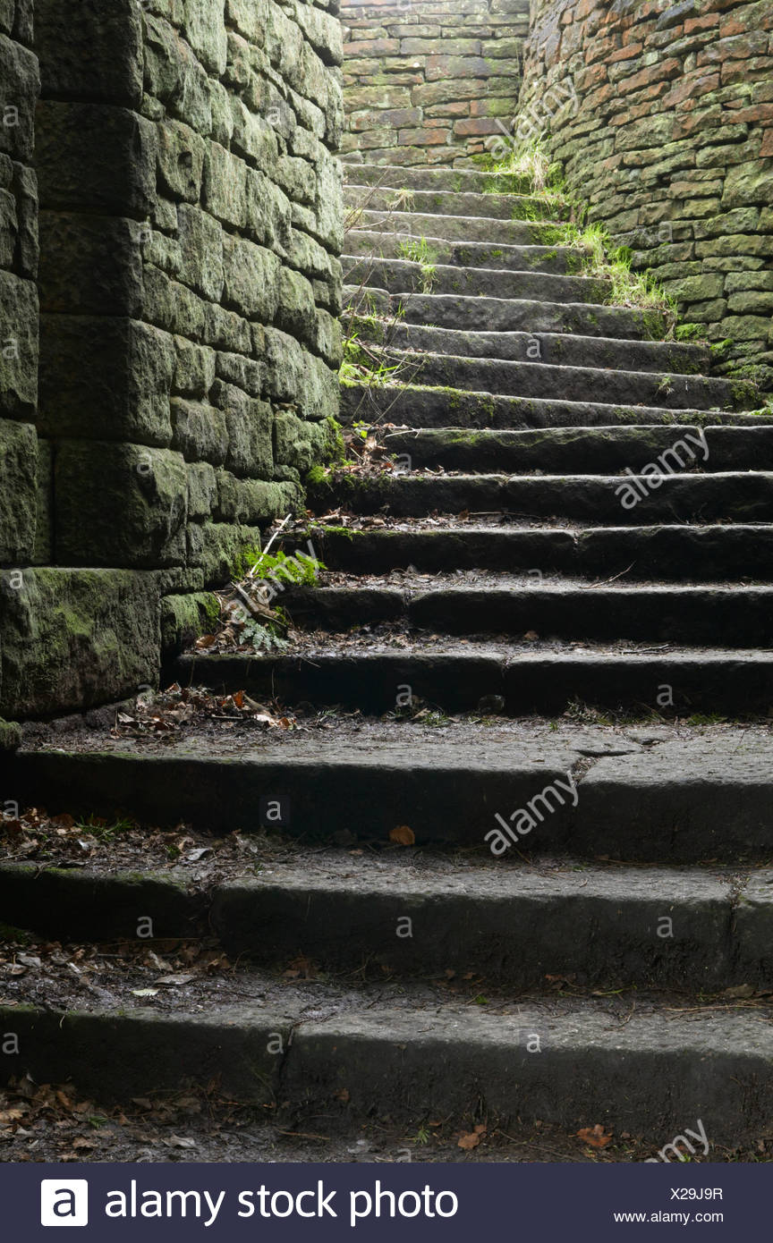 Japanese Steps High Resolution Stock Photography and Images - Alamy
