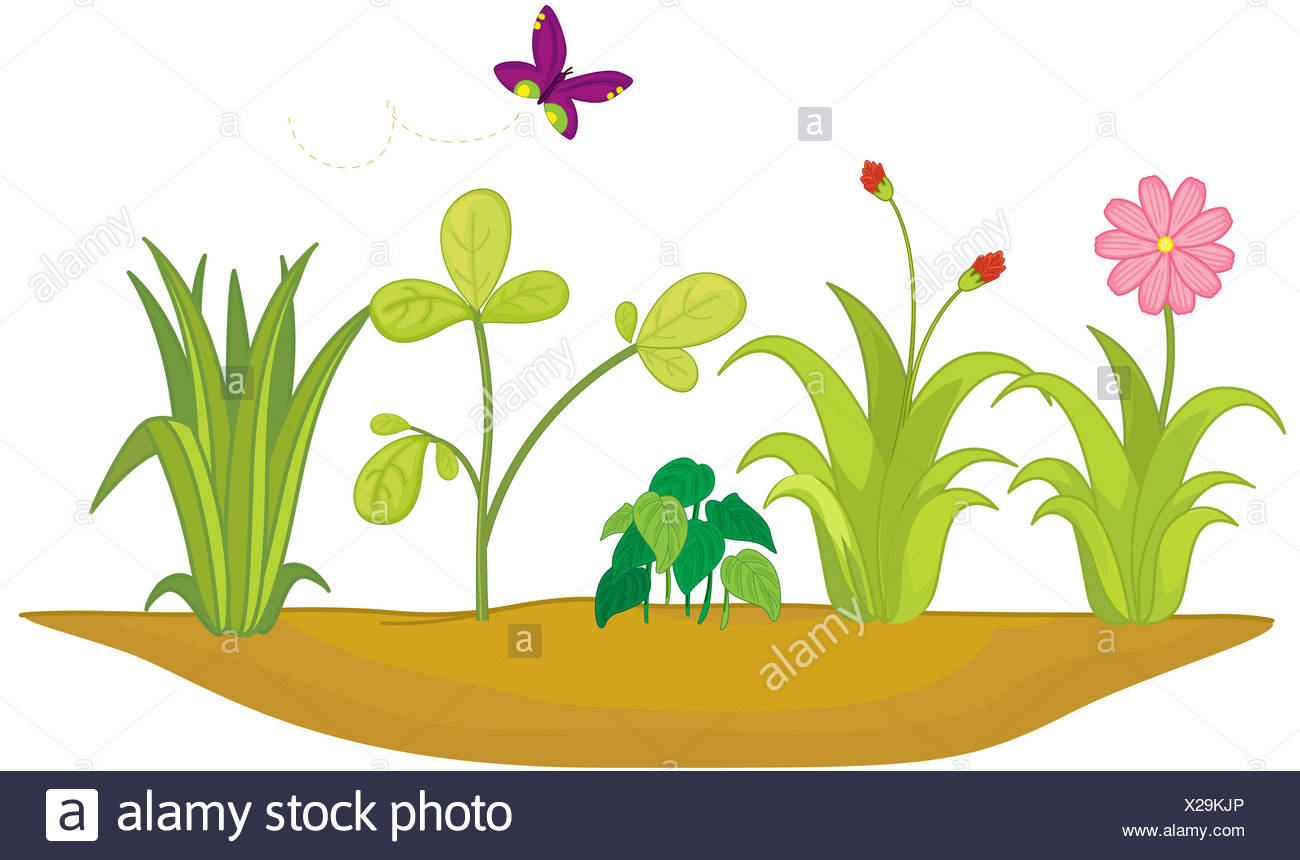 Cartoon Flower Bed High Resolution Stock Photography and Images - Alamy