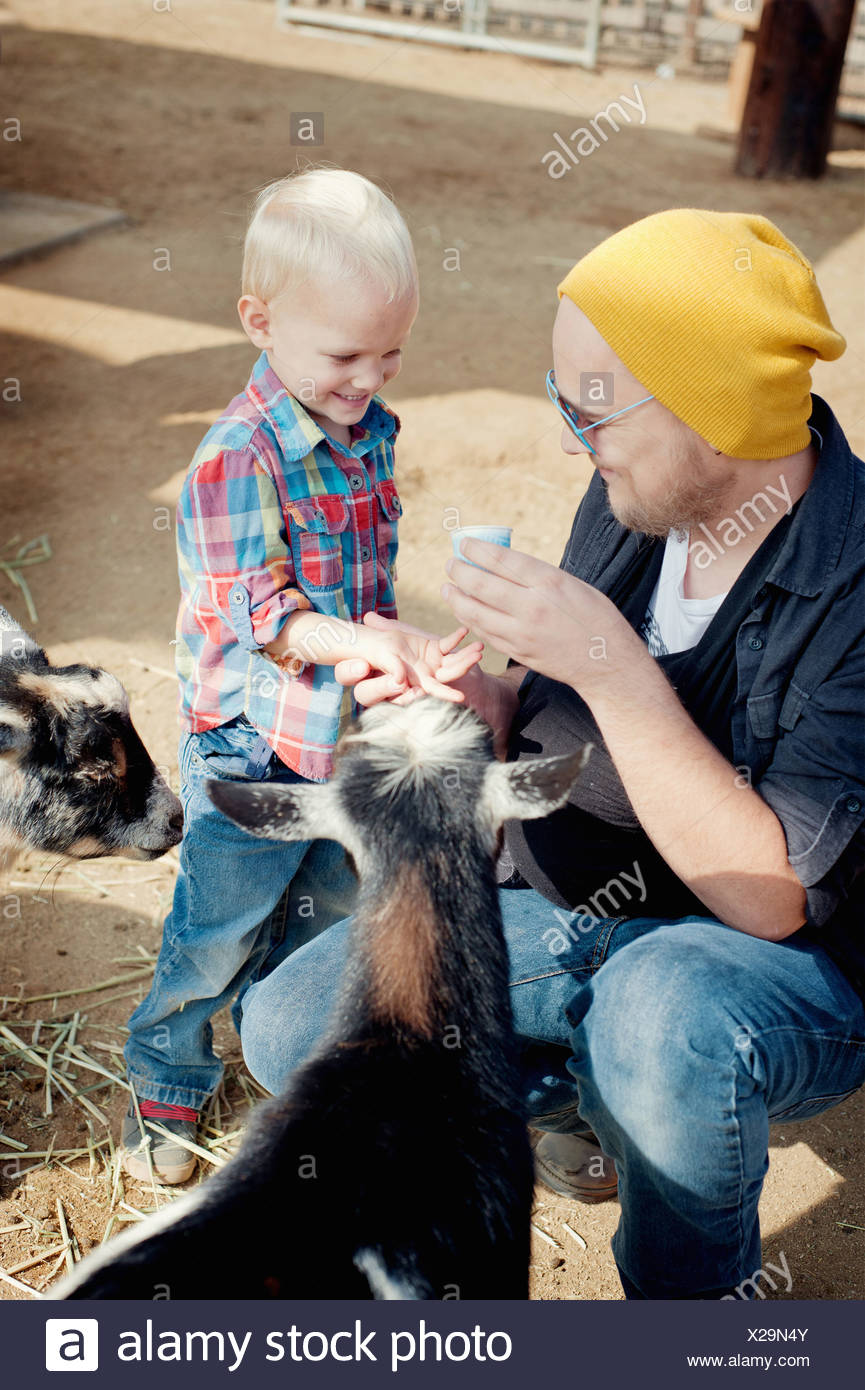 Goat Up Close High Resolution Stock Photography and Images - Alamy