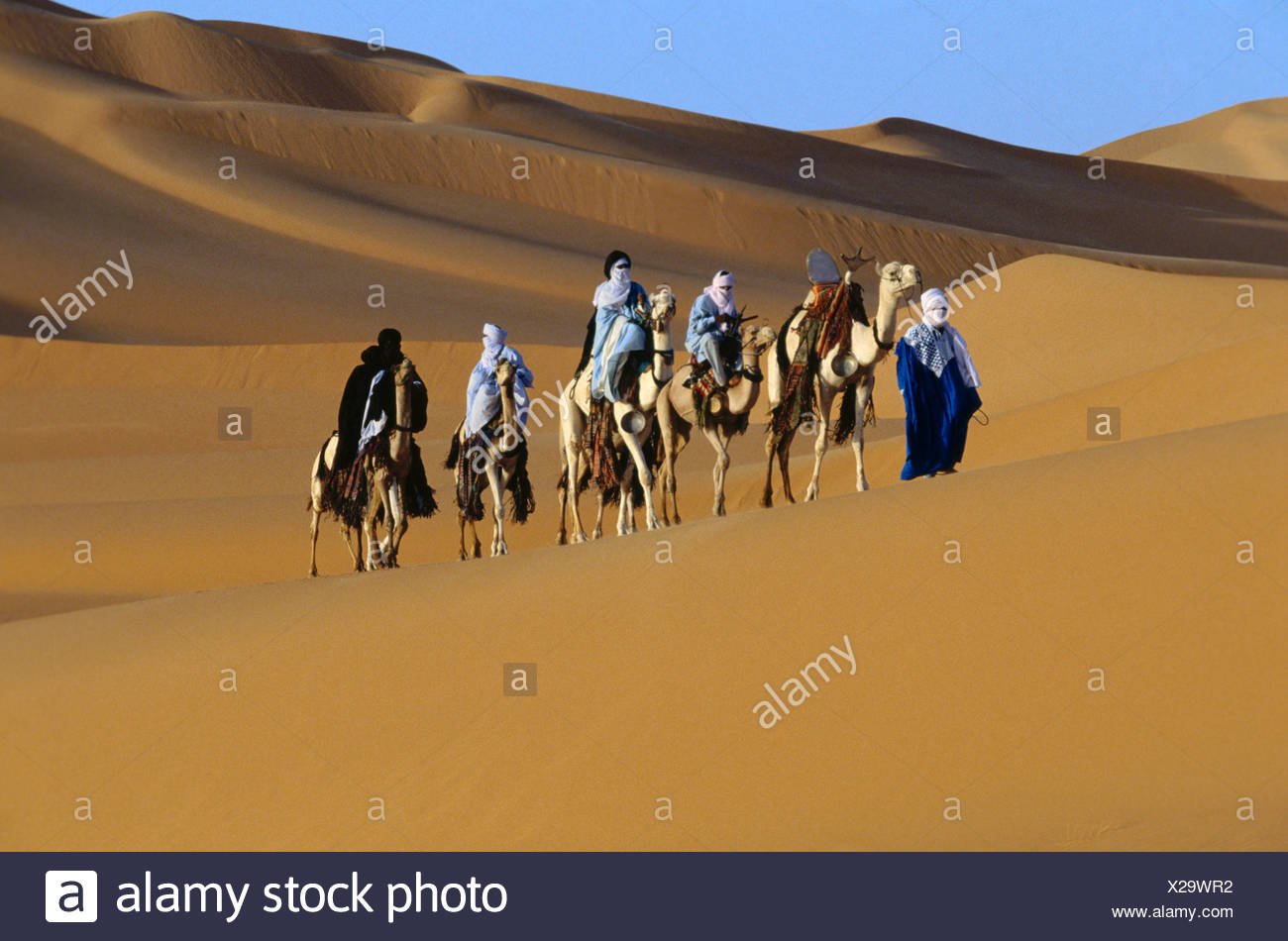 Tuareg Caravan High Resolution Stock Photography and Images - Alamy