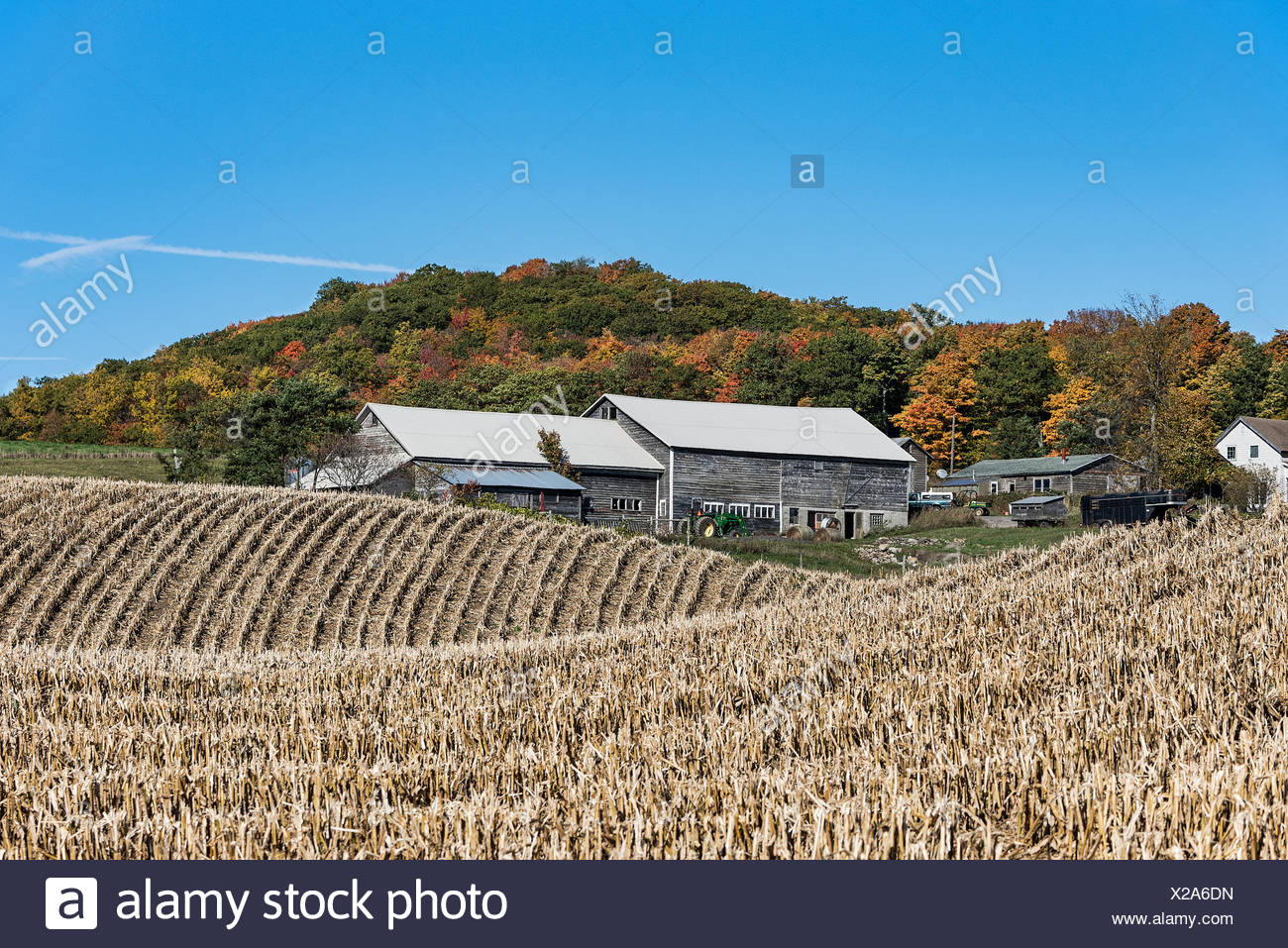 Springfield Farm High Resolution Stock Photography and Images - Alamy