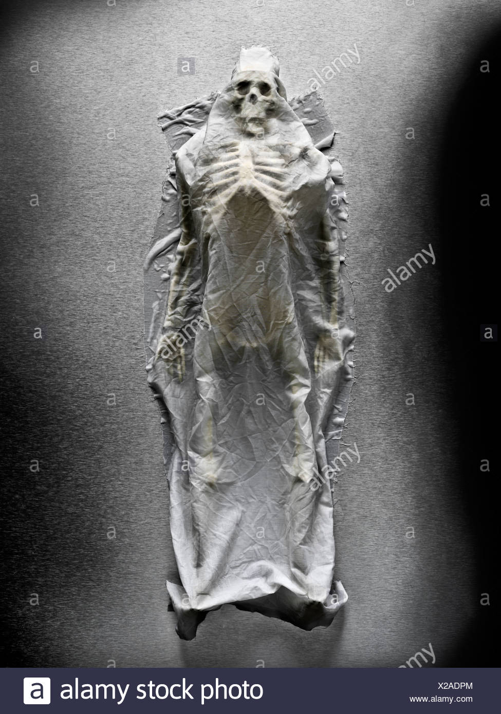 Human Skeleton Stock Photos & Human Skeleton Stock Images - Alamy