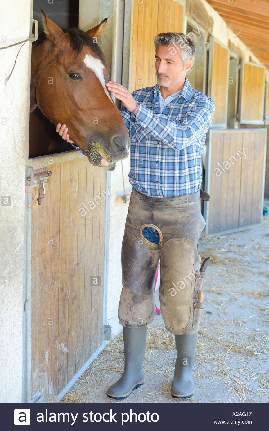 Trainer Stables Stable Stock Photos & Trainer Stables Stable Stock Images - Alamy