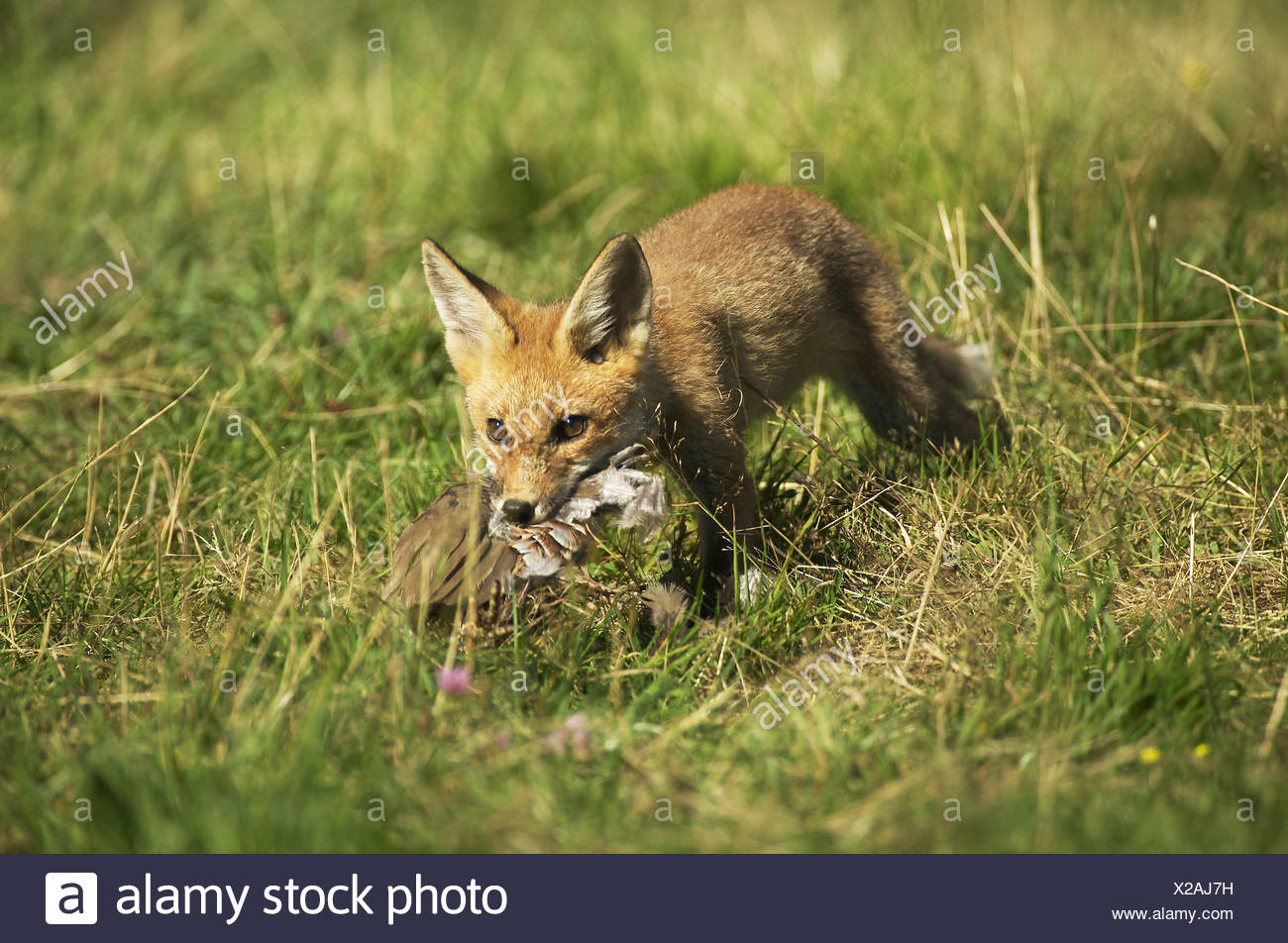 You Are Killing Me High Resolution Stock Photography and Images - Alamy