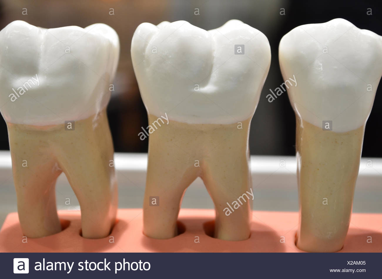Dentistry High Resolution Stock Photography and Images - Alamy