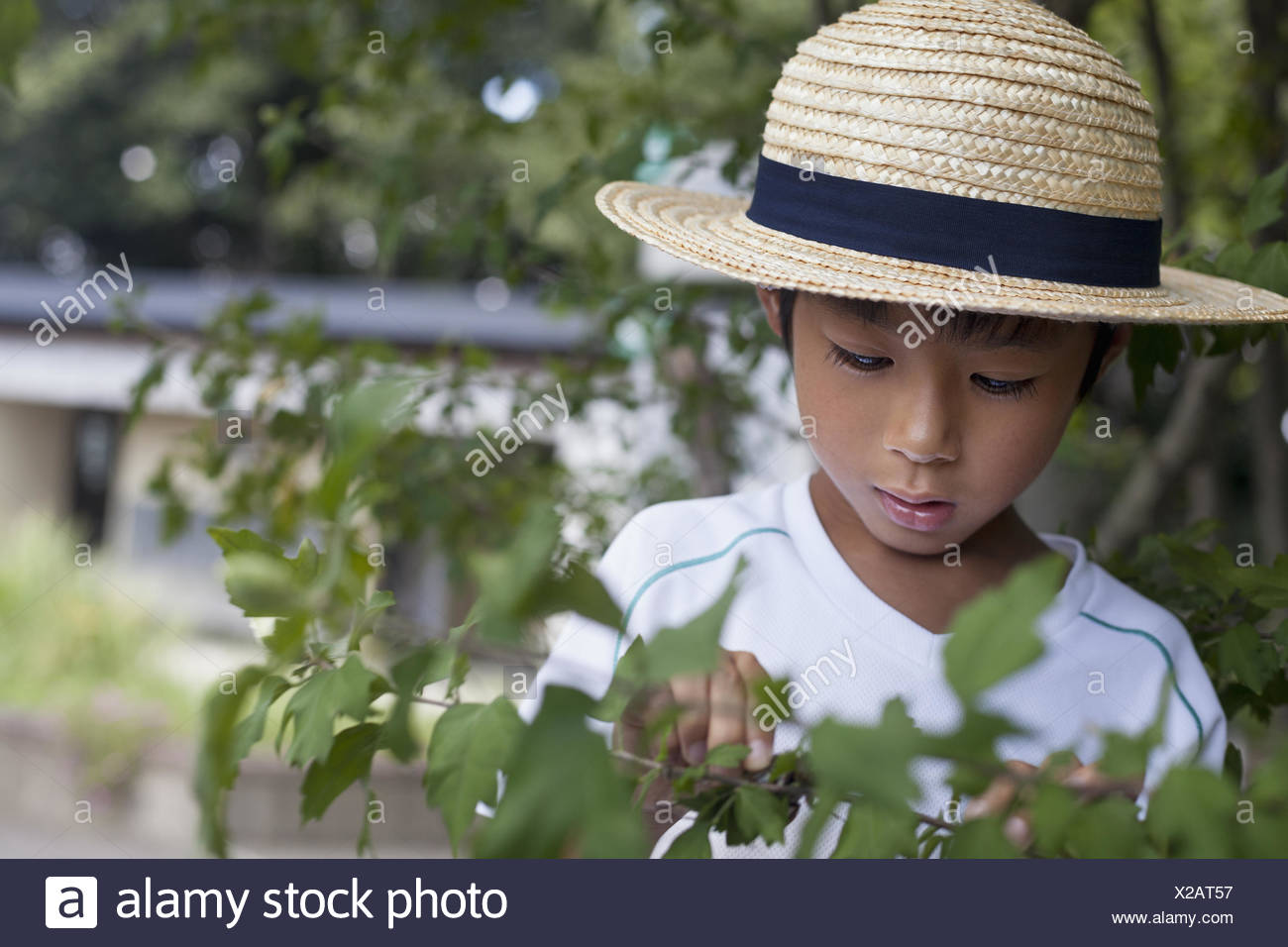 Wearing Straw Hat Stock Photos & Wearing Straw Hat Stock Images - Alamy
