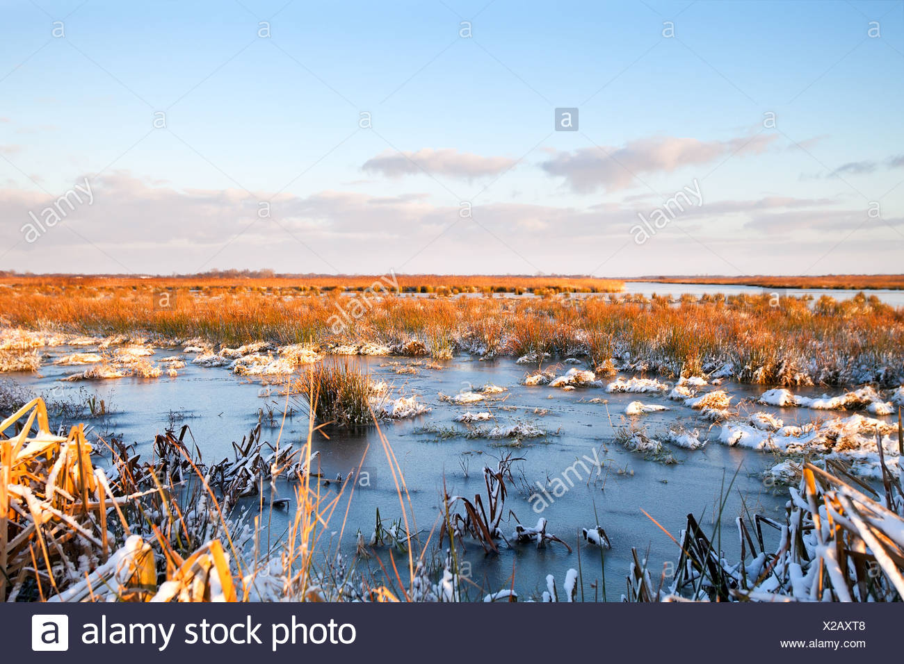 Swamp River High Resolution Stock Photography and Images - Alamy