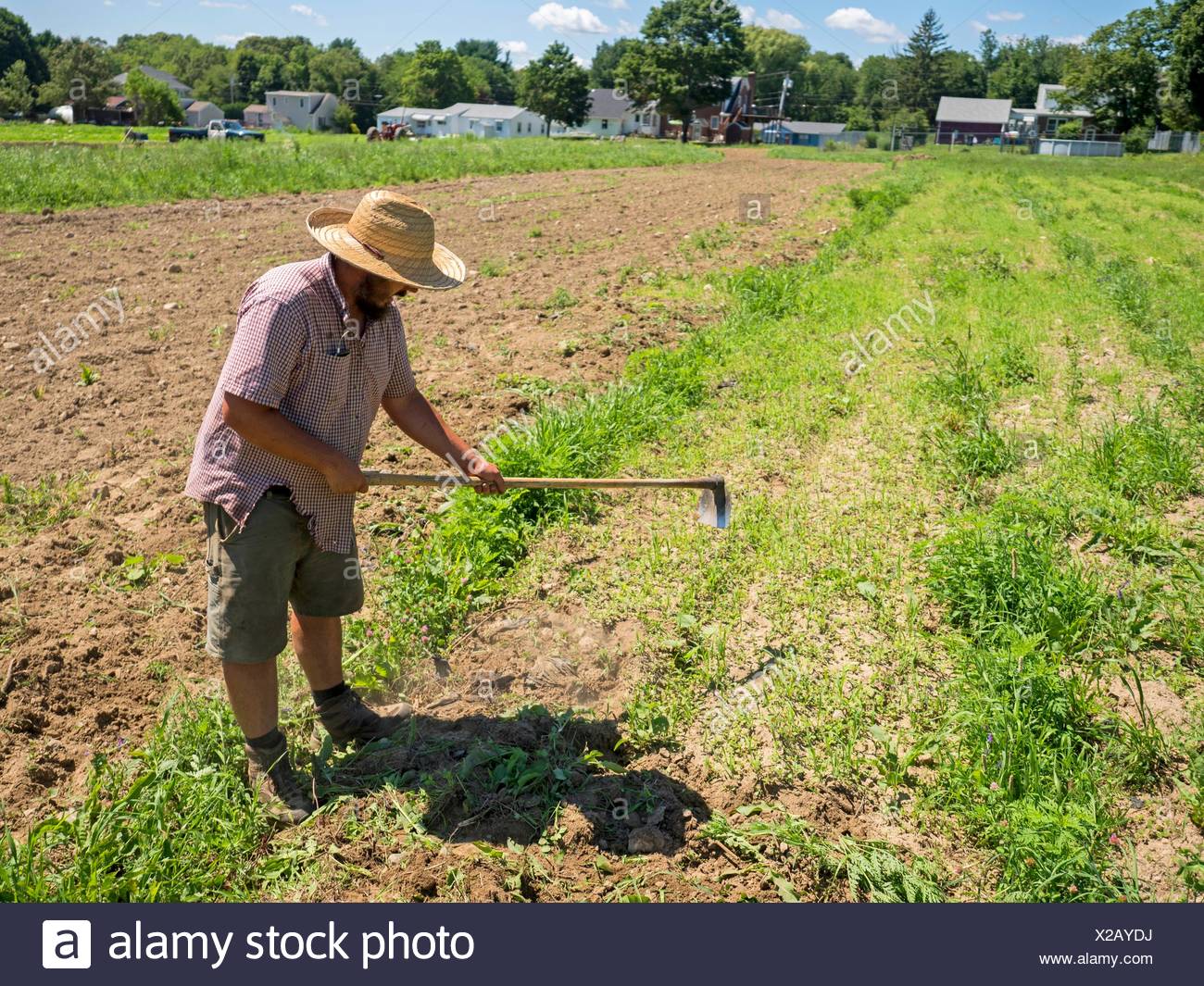 Hoeing High Resolution Stock Photography and Images - Alamy