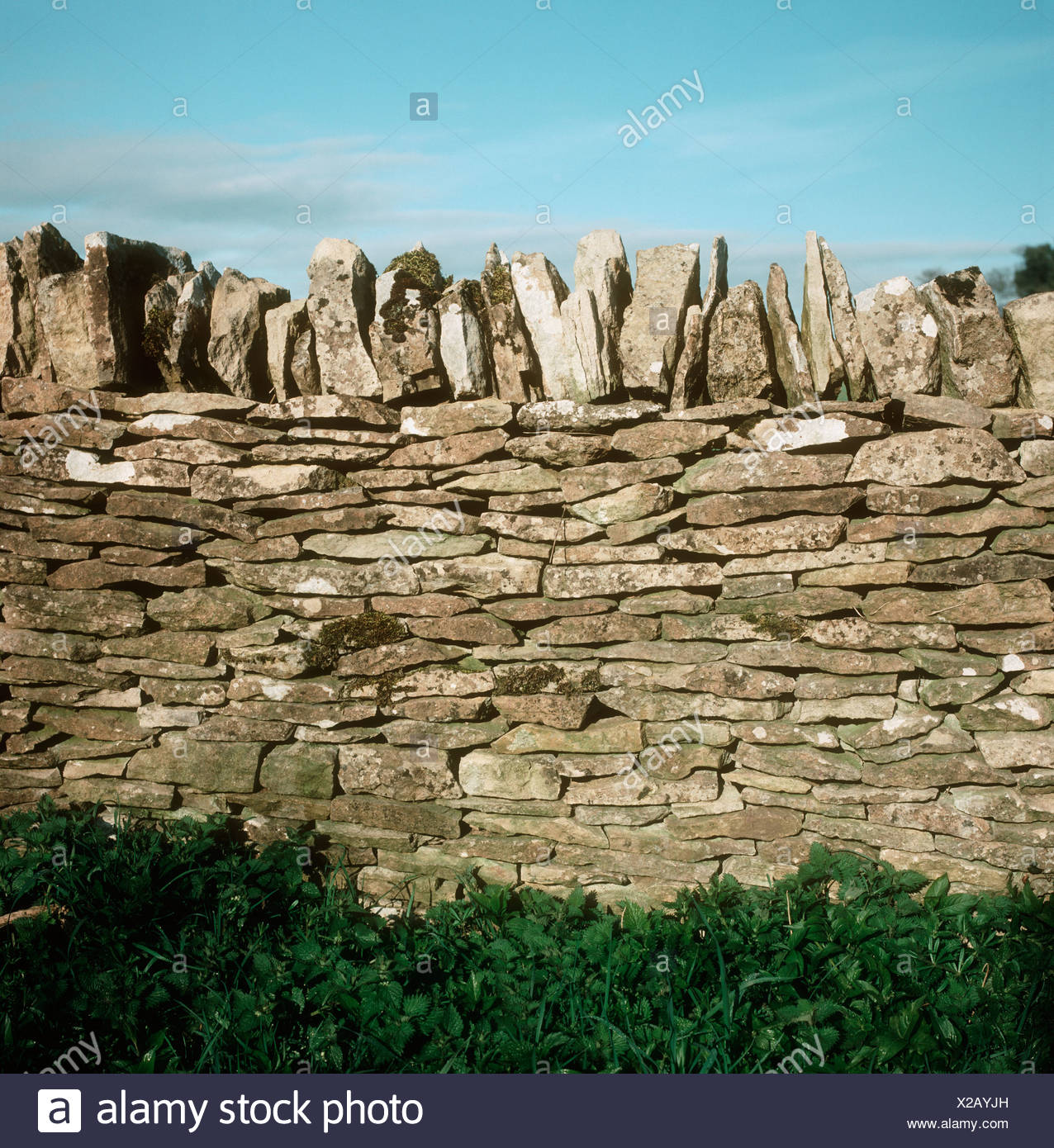 Stone Boundary Wall High Resolution Stock Photography and Images - Alamy