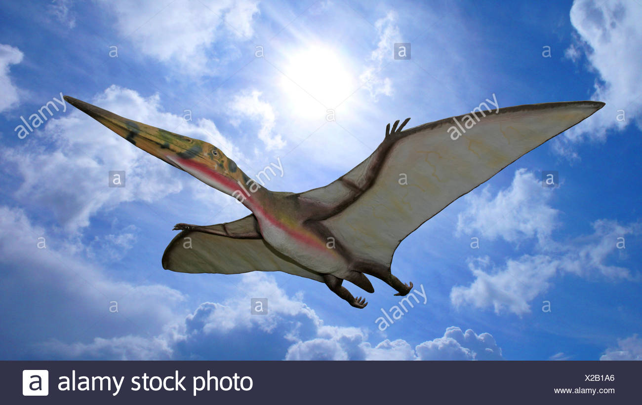 Flying Dino High Resolution Stock Photography and Images - Alamy