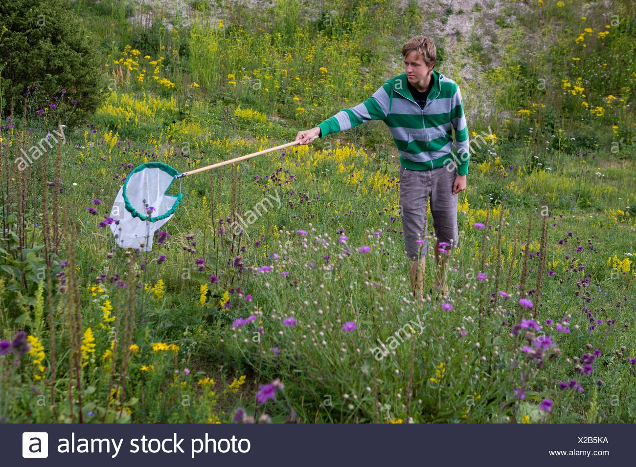 Catching Butterfly High Resolution Stock Photography and Images - Alamy