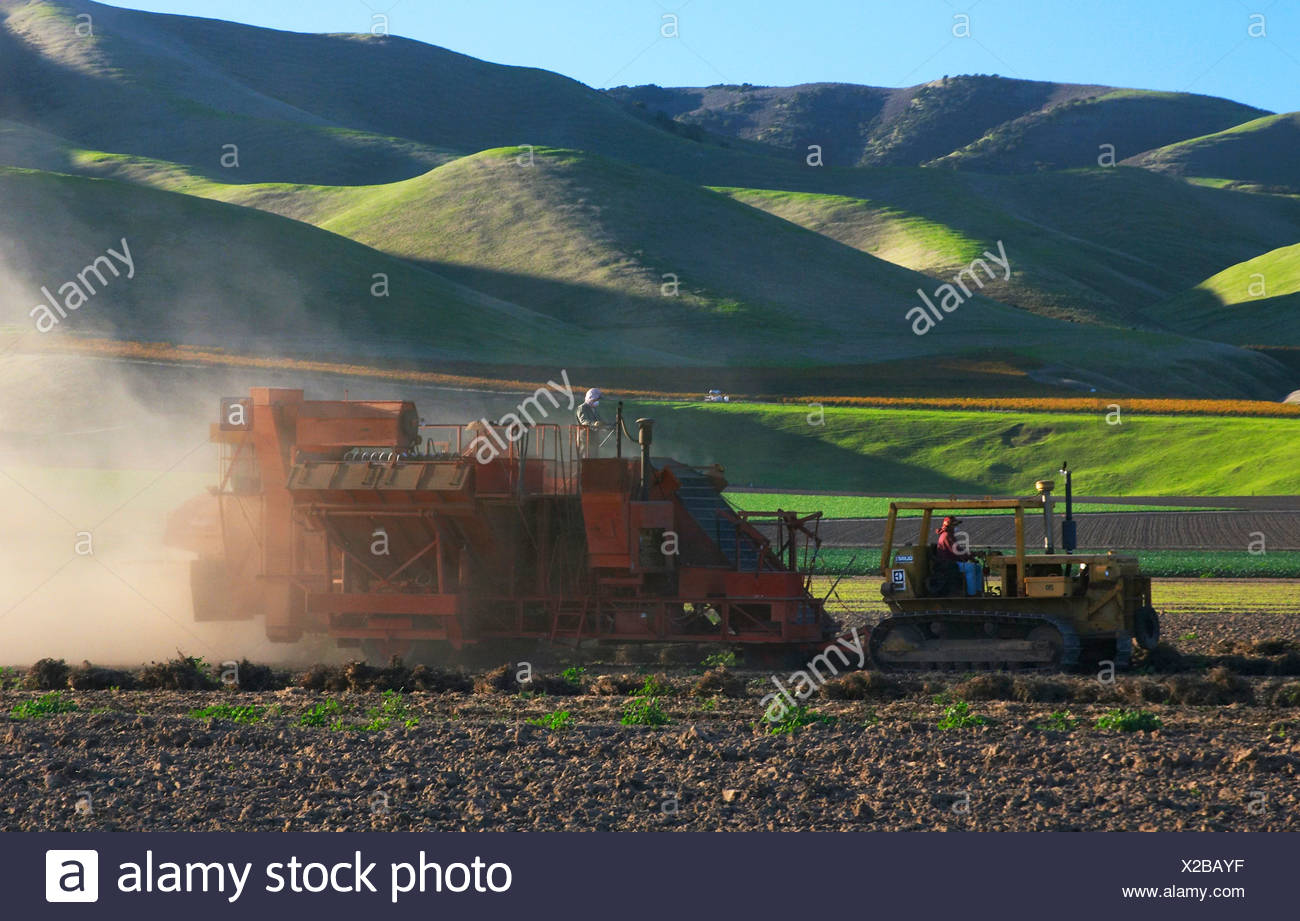 Windrowed High Resolution Stock Photography and Images - Alamy