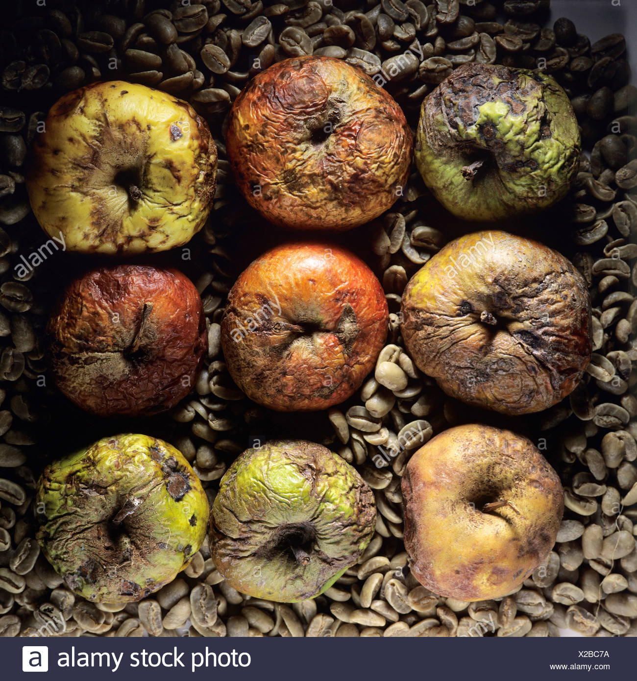 Rotten Fruit Stock Photos & Rotten Fruit Stock Images - Alamy