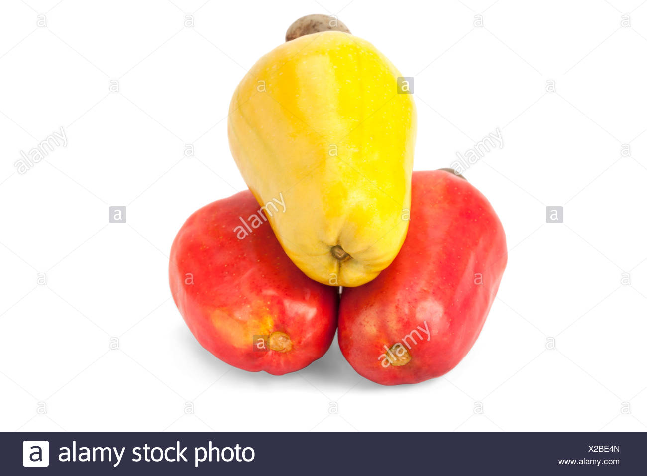 Brazilian Caju Cashew Seed Cachoux Caju Fruit Tropical High Resolution ...