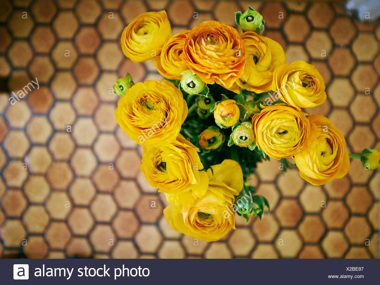 Honeycomb Flooring High Resolution Stock Photography and Images - Alamy