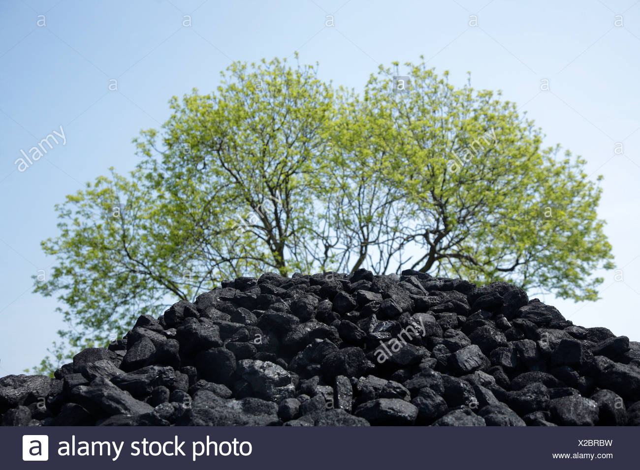 Pile Of Coal Stock Photos & Pile Of Coal Stock Images - Alamy
